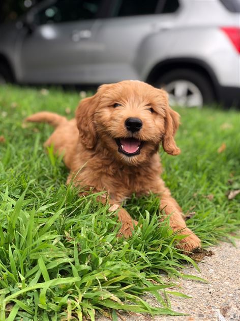 Financial Advisor Joshua Sokol in Auburndale, MA | Skyeburst Wealth ...