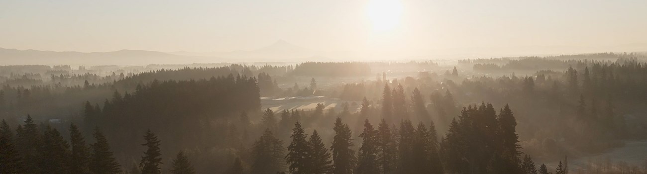 Arrow Financial Group - Battle Ground, WA: Ameriprise